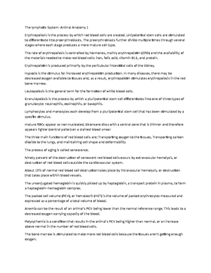 The endocrine system-Anatomy - The endocrine system The endocrine ...