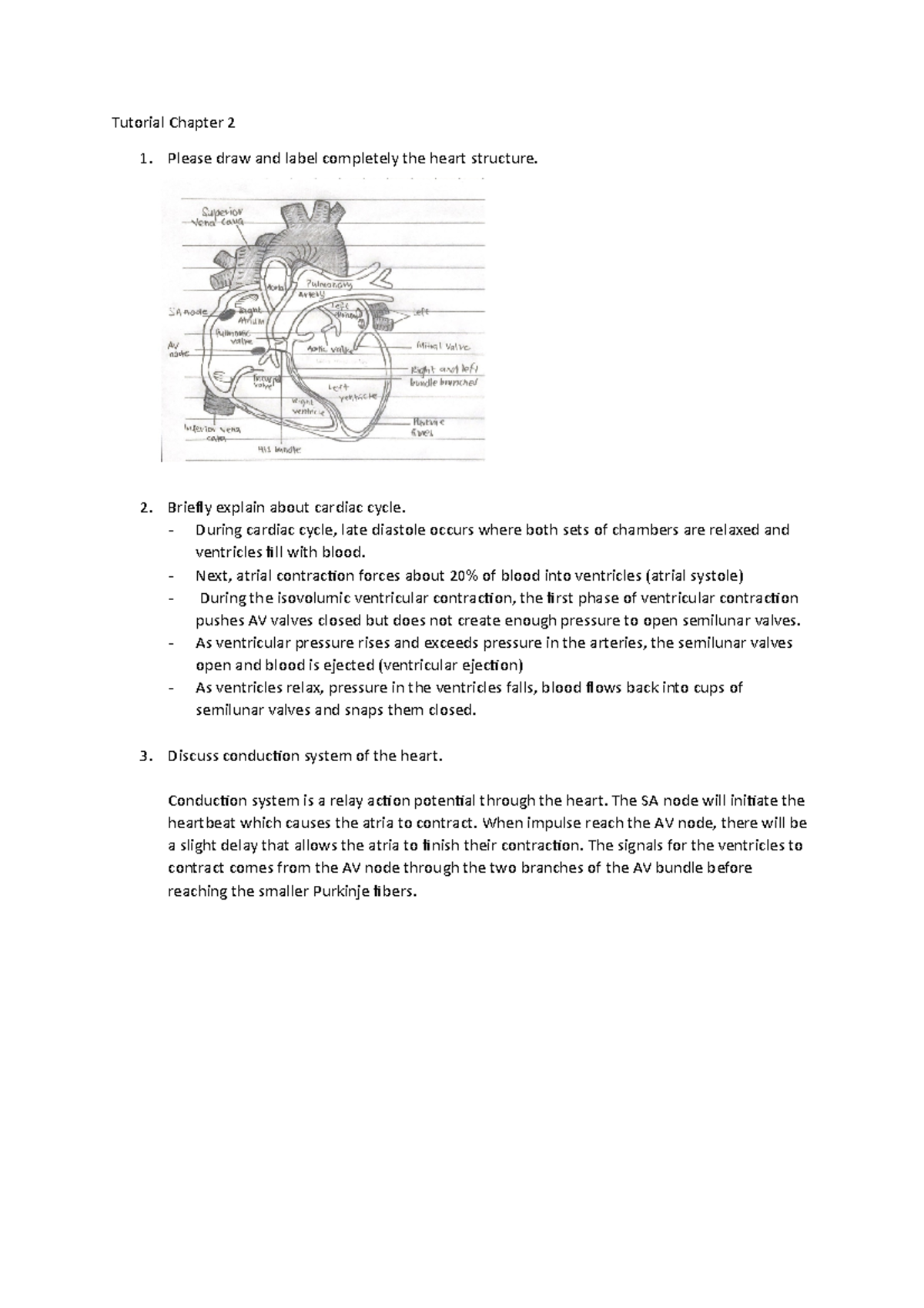 Tutorial Chapter 2 BIO310 - Tutorial Chapter 2 Please draw and label ...