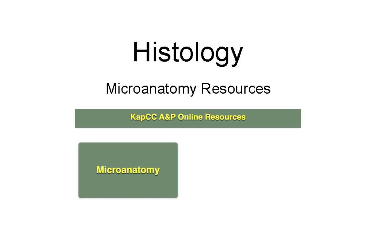 KCC A&P Notes- Histology Microanatomy - Histology Microanatomy ...