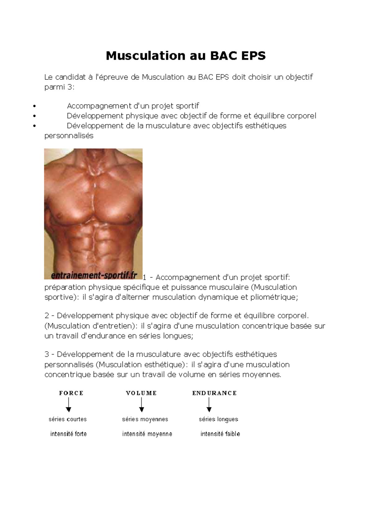 Doc-musculation - Xxxjx - Musculation au BAC EPS Le candidat à l ...