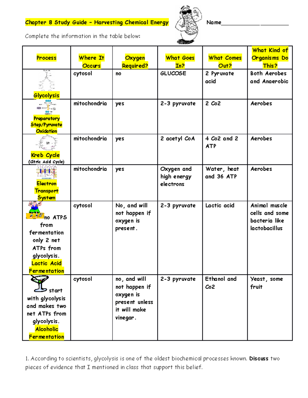 Chapter 8 Study Guide(1) with answers - Chapter 8 Study Guide ...