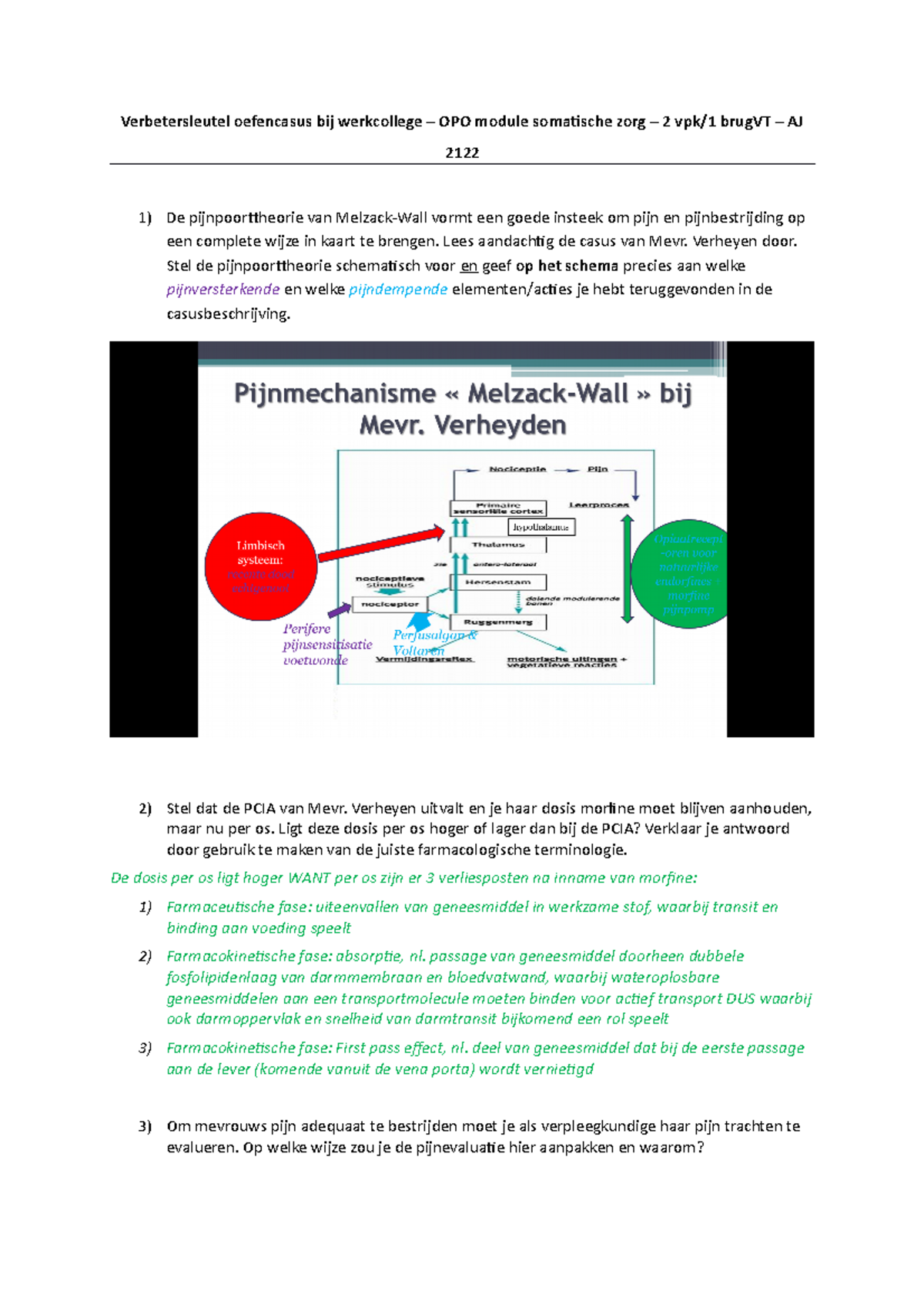 Verbetersleutel oefencasus module somatische zorg - onderdeel pijn - 2 vpk & 1 brugvt - AJ2122 ...