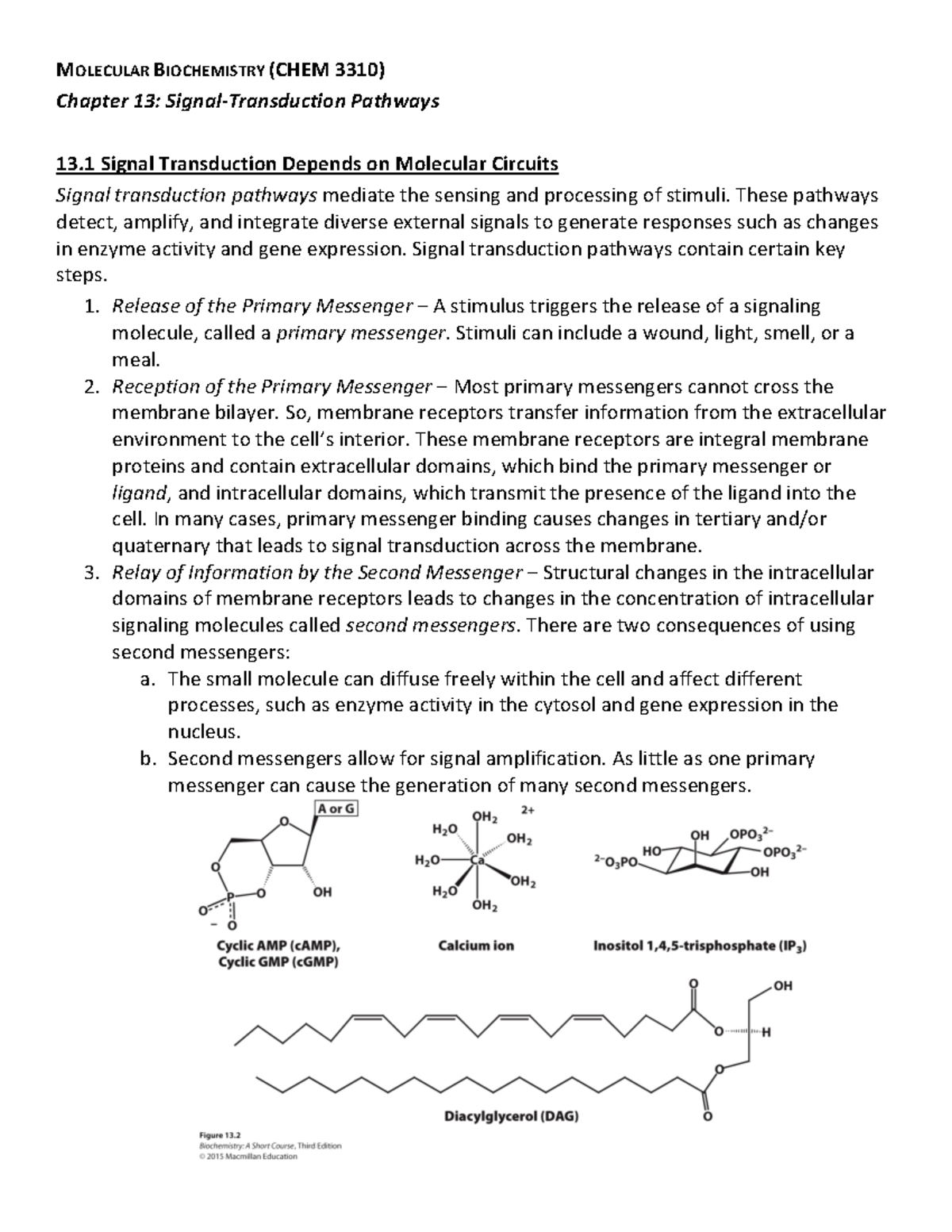 Biochem Ch. 13 - Chapter 13 notes - MOLECULAR BIOCHEMISTRY (CHEM 3310 ...