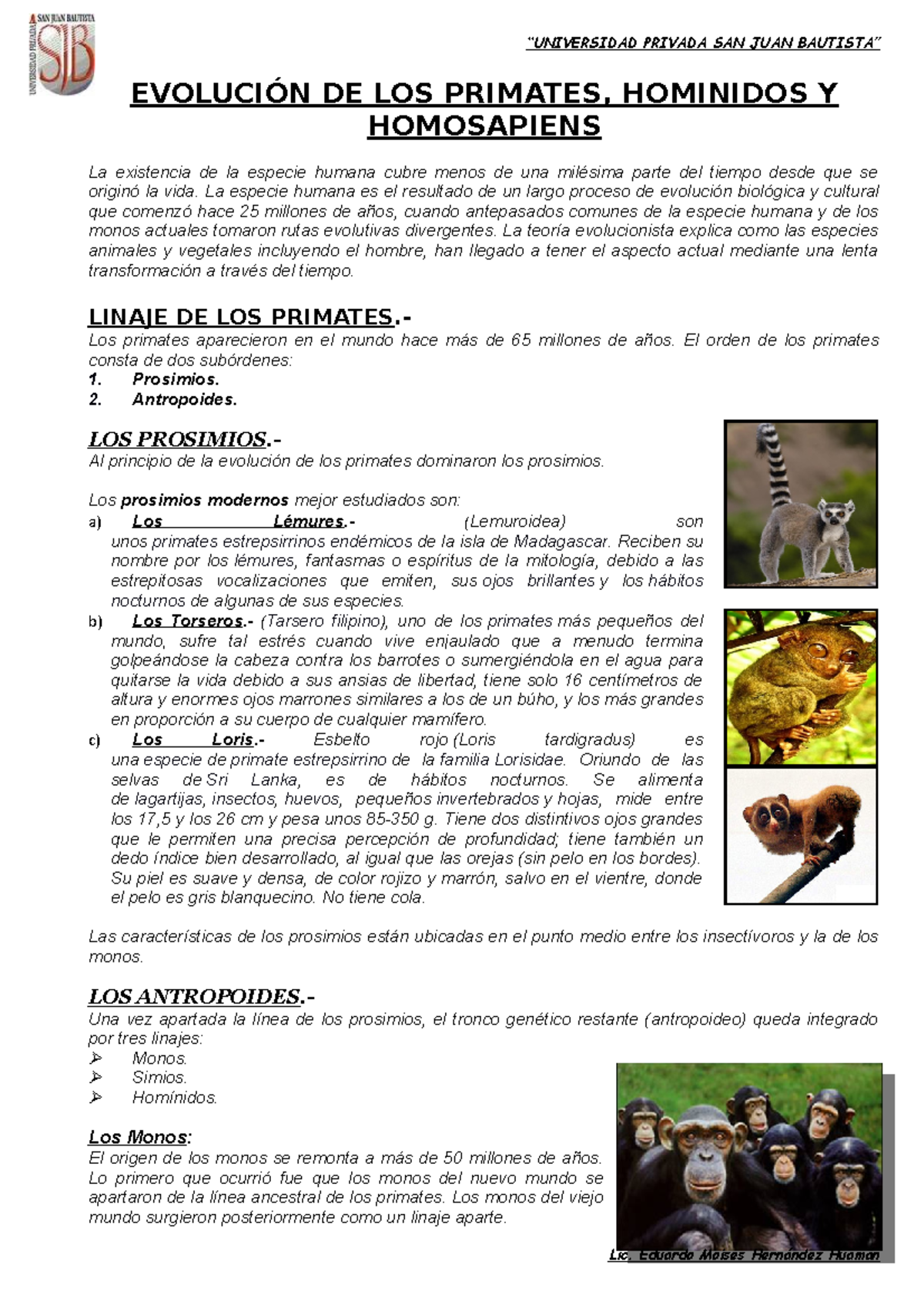 Antropología Biológica y Evolución de los Primates - EVOLUCIÓN DE LOS ...