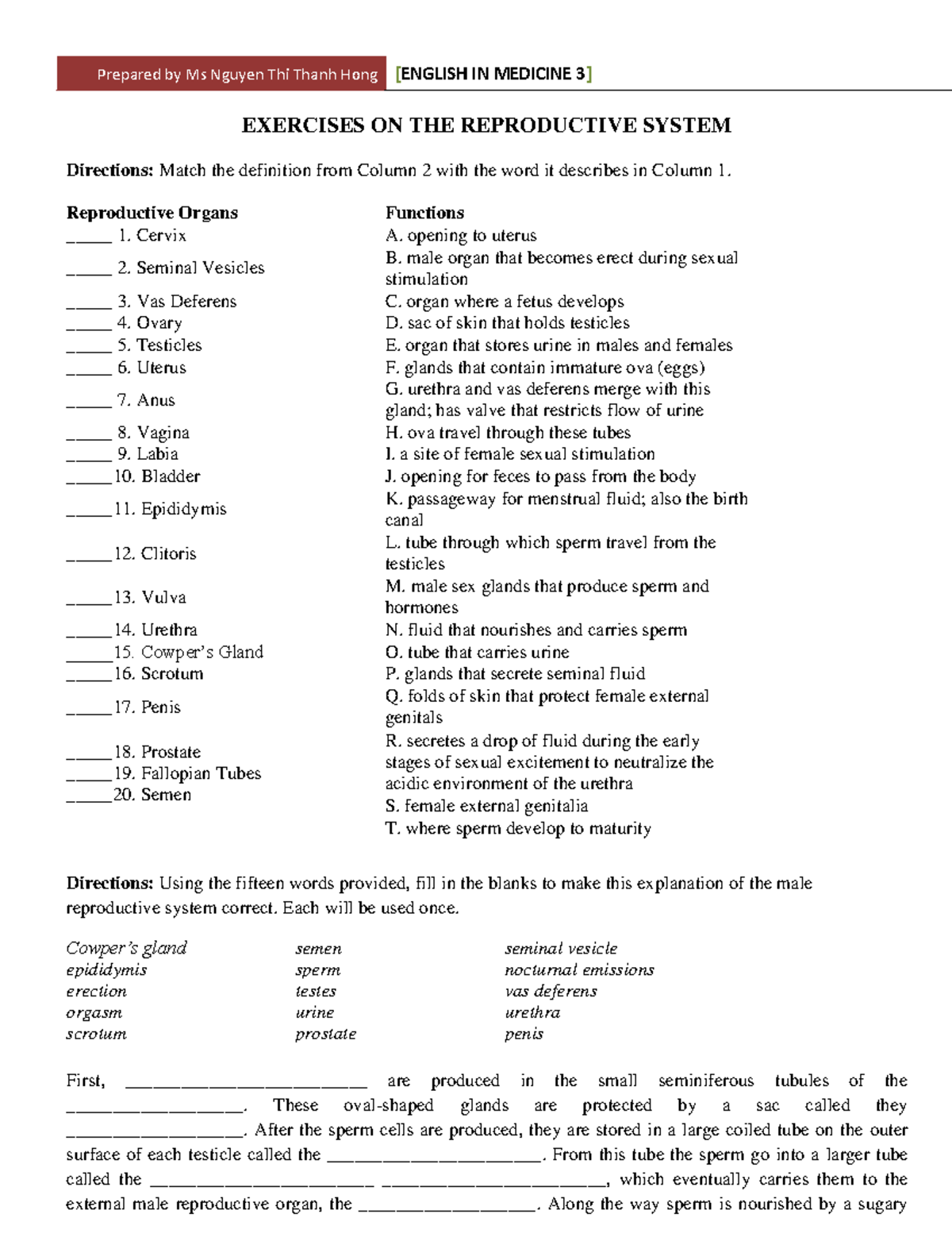 Exercises ON THE Reproductive System - Prepared by Ms Nguyen Thi Thanh ...