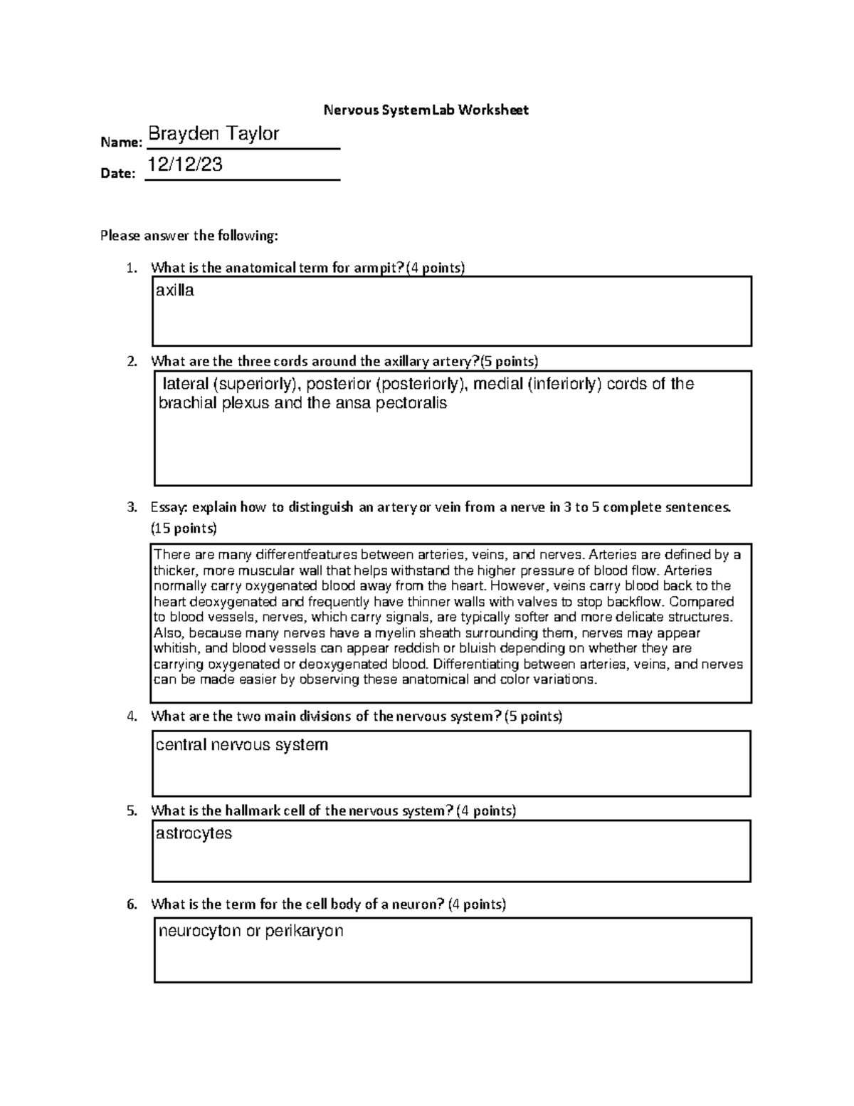 Nervous+System+Lab+Worksheet completed - Nervous System Lab Worksheet ...
