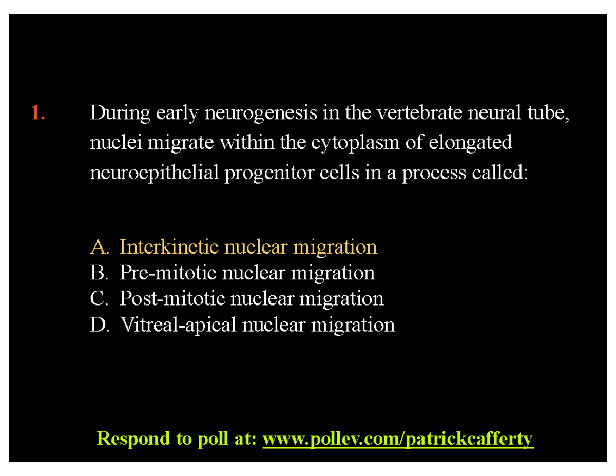 Lecture 12 Topic 3 Genesis And Migration Part 2 1 During Early Neurogenesis In The Vertebrate