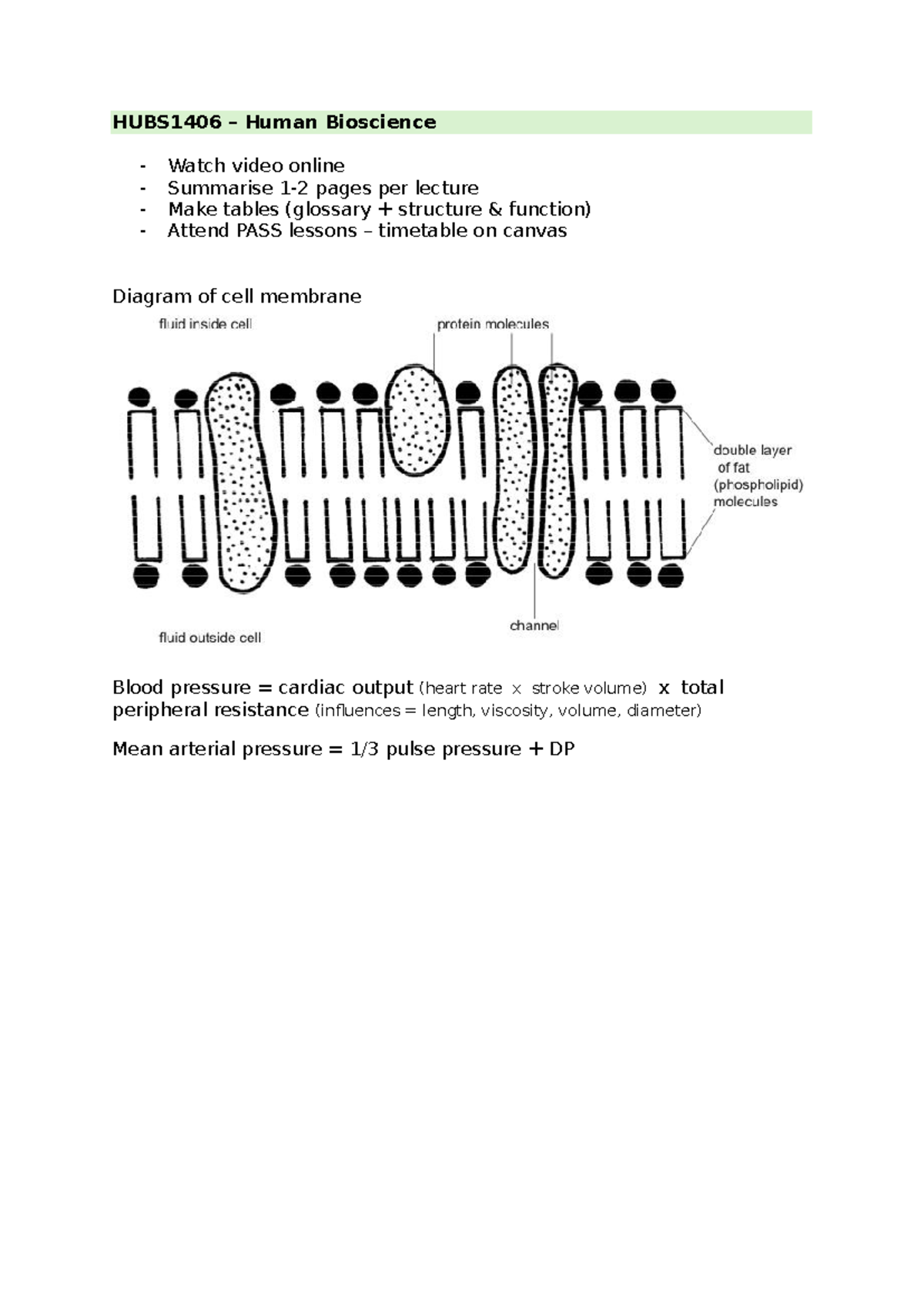 HUBS1406 - Diagram of cell membrane - HUBS1406 - HUBS1406 – Human ...