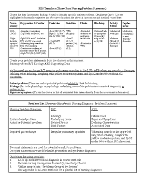 Jared Griffin Care Plan-5 - N170 Preclinical / Care Plan Evaluation ...