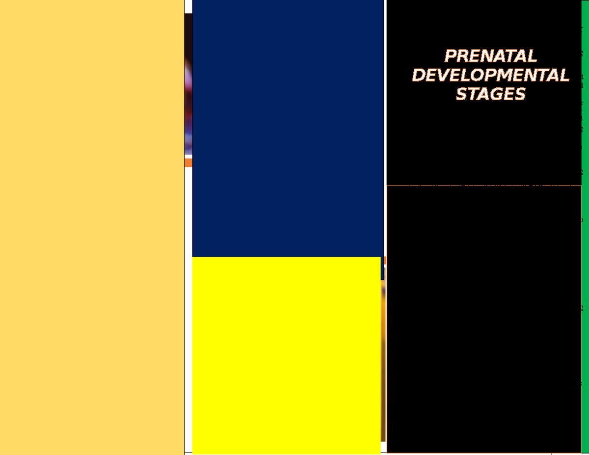 Brochure for PSY-102 - ` DEVELOPMENTAL PSYCHOLOGY THEORIES OF PRENATAL ...