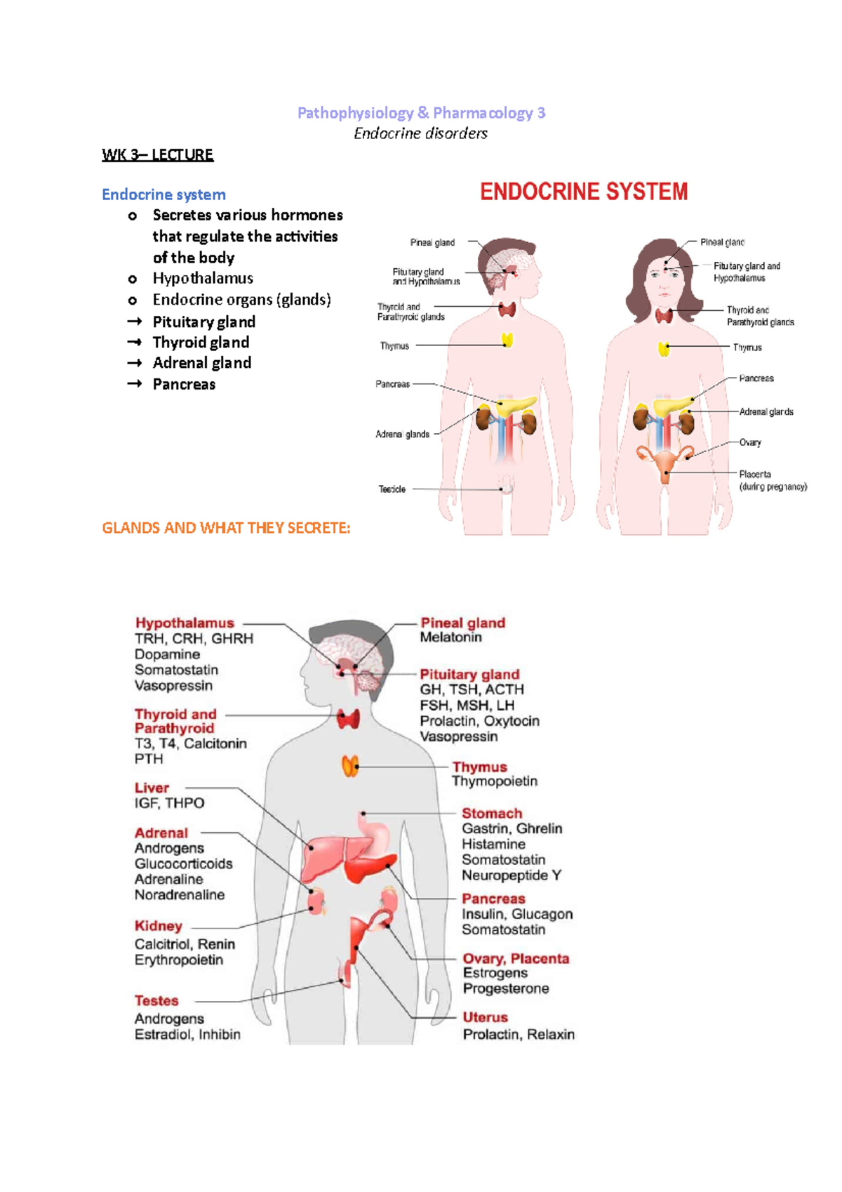 WK 3 - Endocrine disorders - Pathophysiology & Pharmacology 3 Endocrine ...