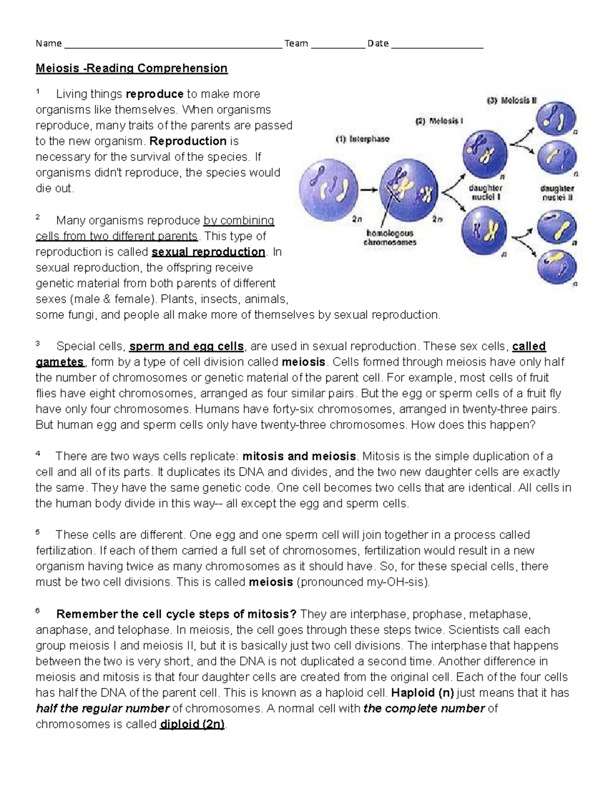 Meiosis Assignment - Name ________________________________________ Team ...