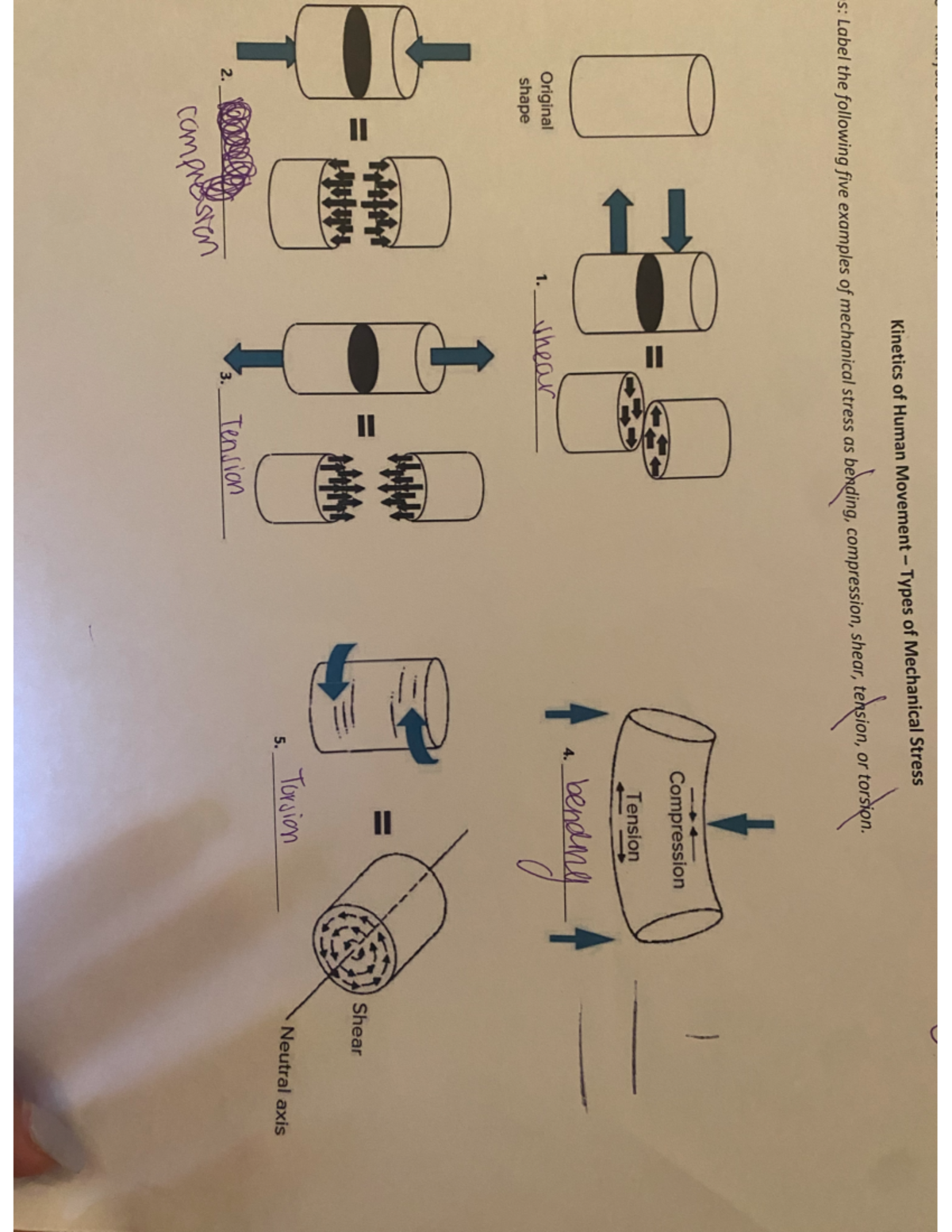 Last 4 - lab - Kinetics of Human Movement Types of Mechanical Stress S ...