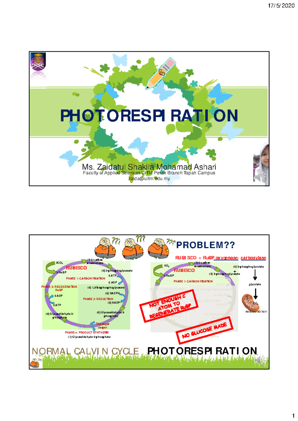 3. Chapter 3 Part 6 Photorespiration - PHOTORESPIRATION Ms. Zaidatul ...