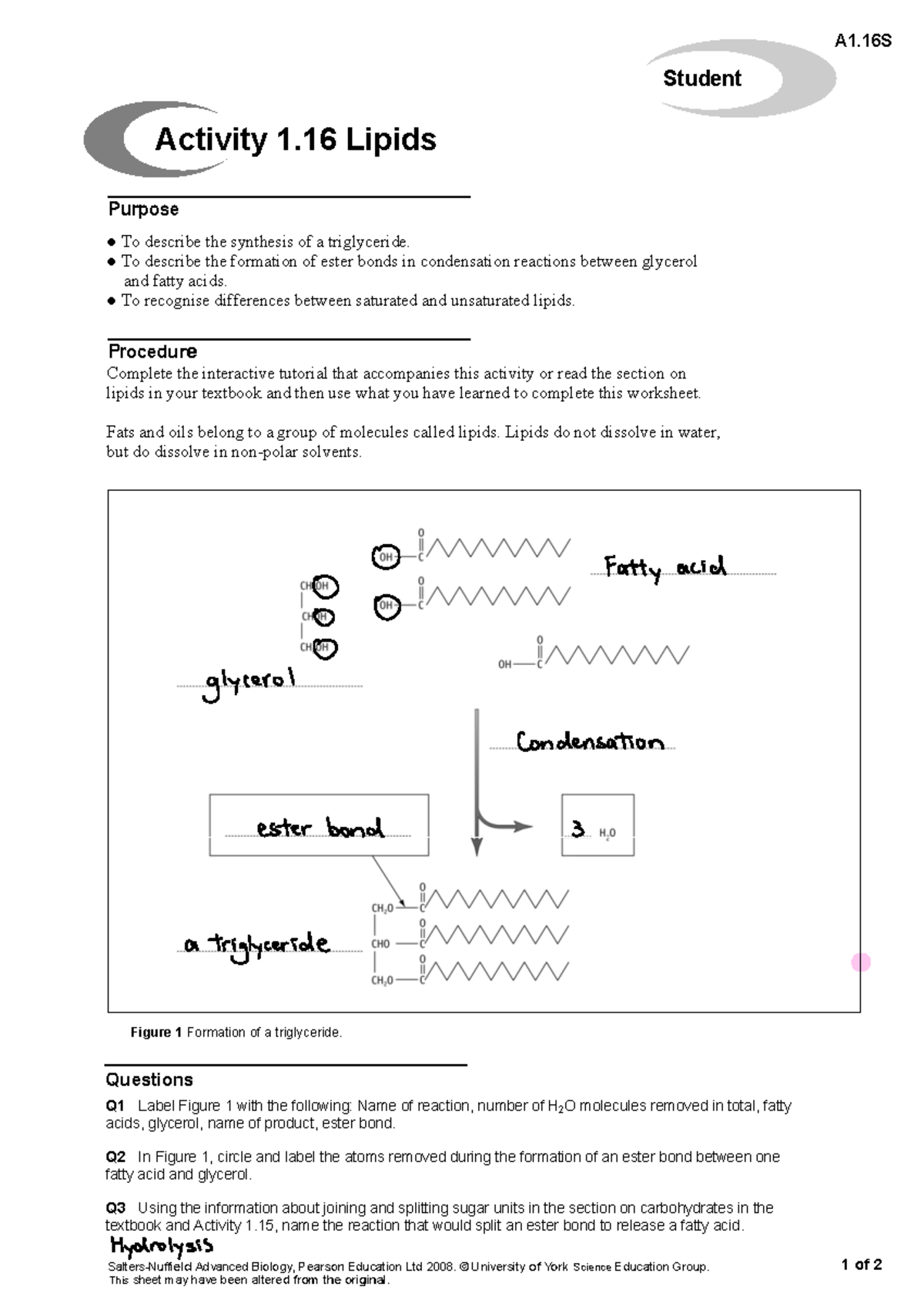 Snab student worksheet 1 - Purpose Ɣ To describe the synthesis of a ...