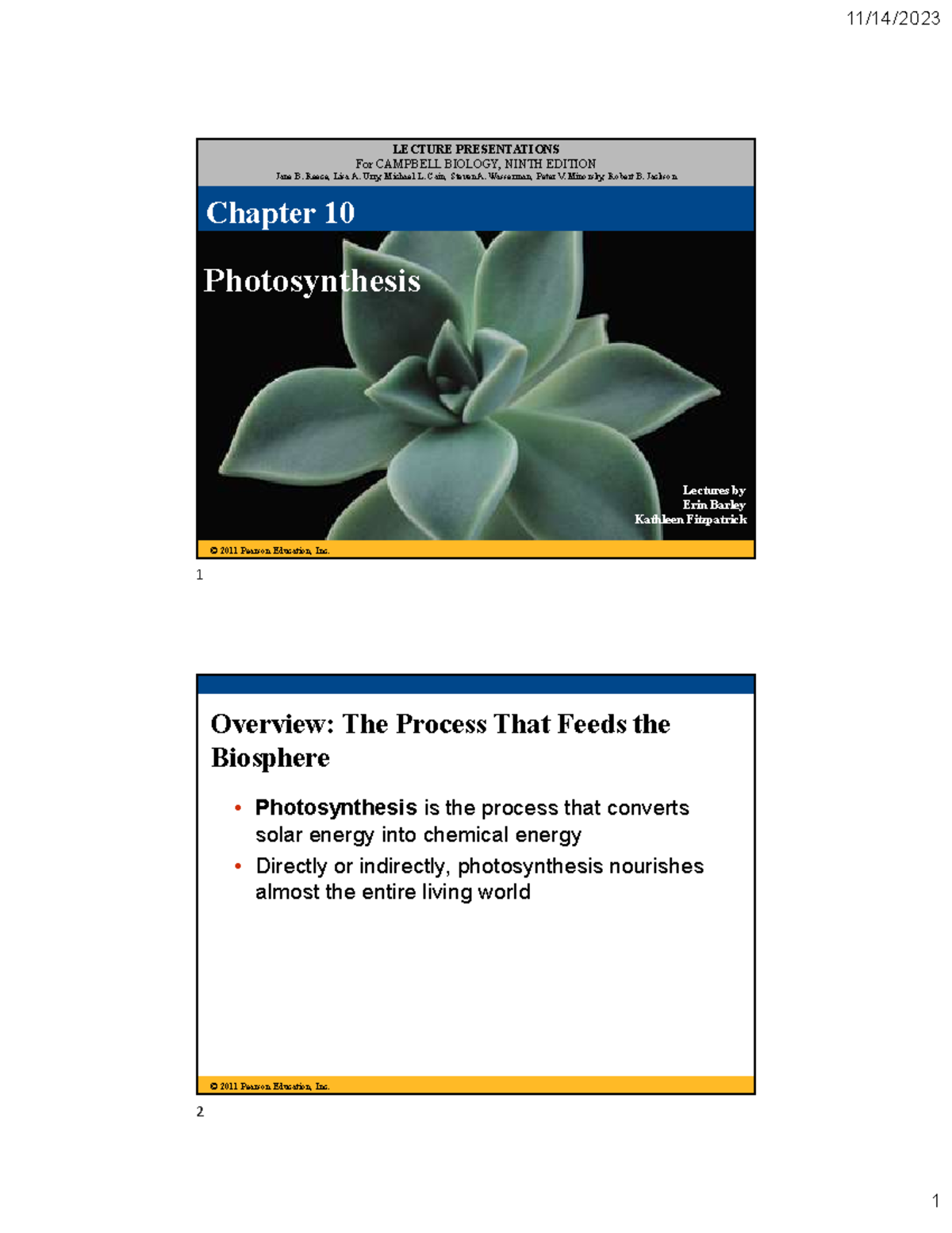 AP Biology Chapter 10 Slideshow - LECTURE PRESENTATIONS For CAMPBELL ...