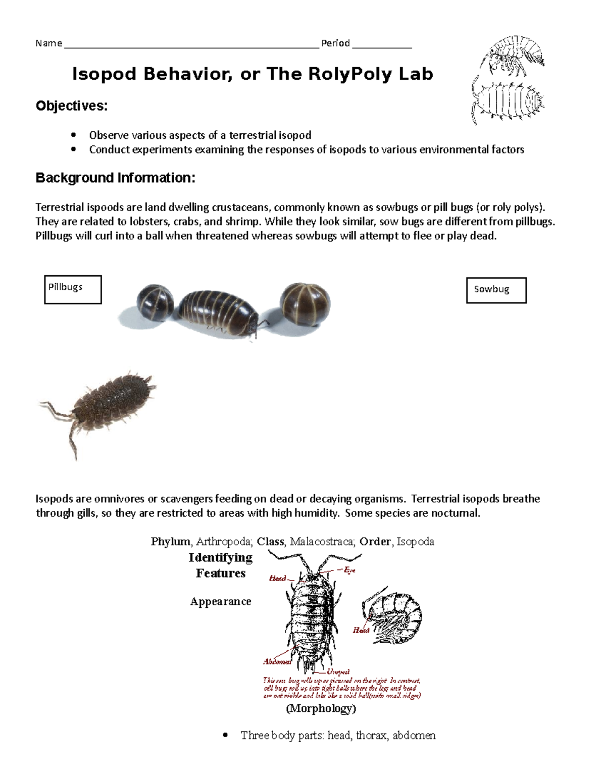 Isopod Lab 2015 - Name ...