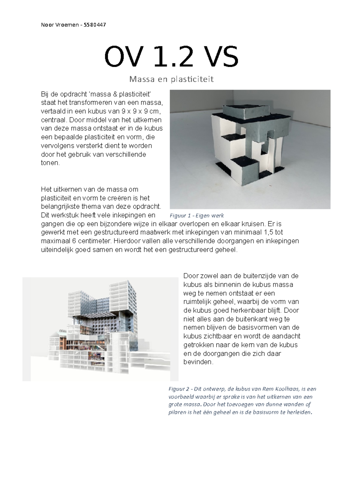 OV1.2 Massa en plasticiteit - Noor Vroemen - 5580447 OV 1 VS Massa en ...