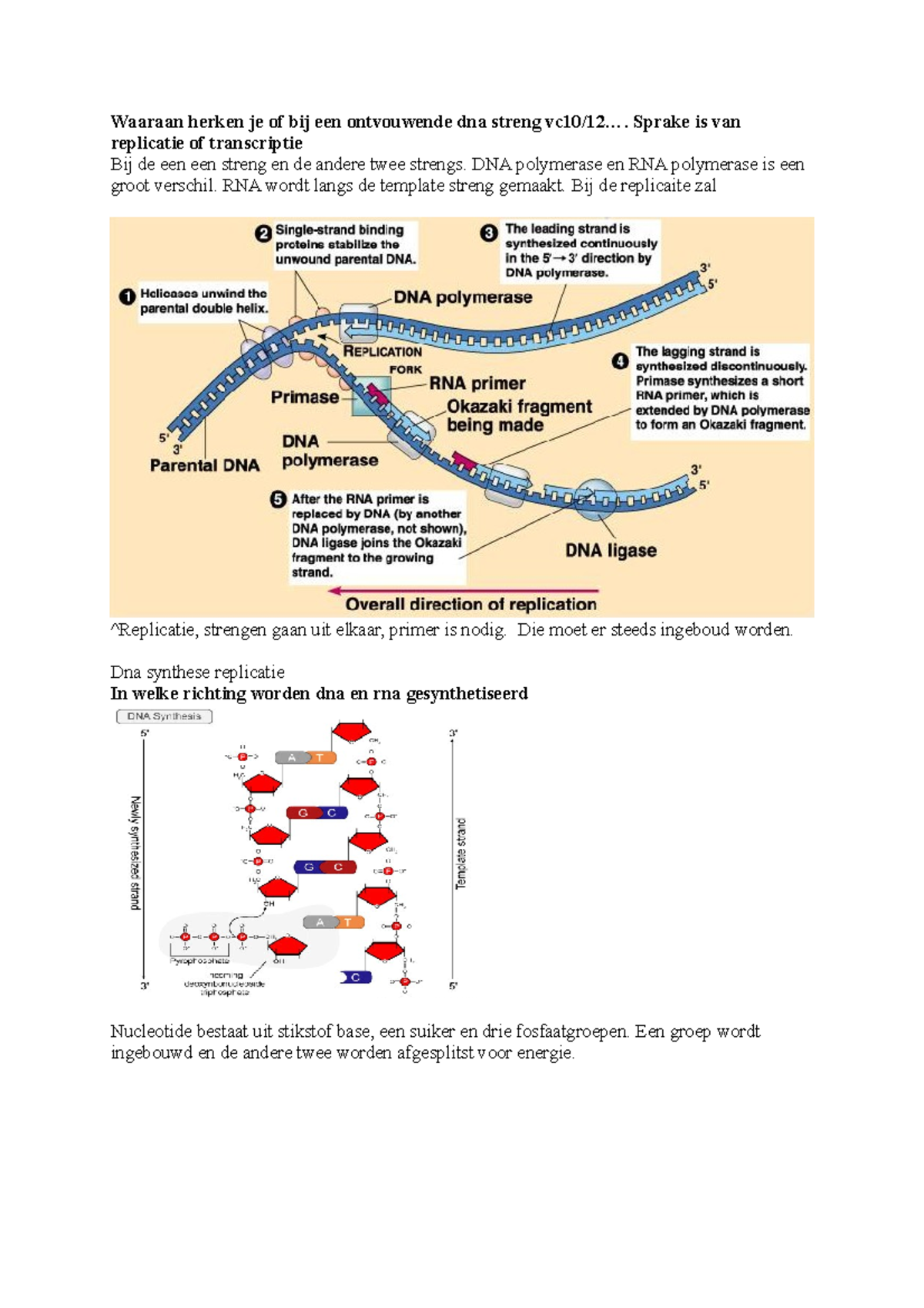 WC1 week 1 - Visual clues - Waaraan herken je of bij een ontvouwende dna streng vc10/12 ...