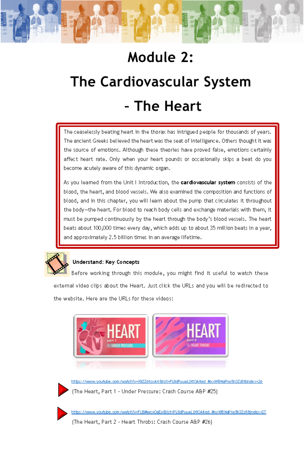NUMC 101B The Heart Introduction - Understand: Key Concepts Before ...
