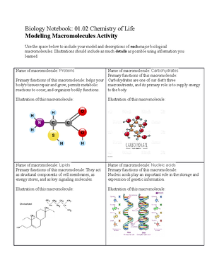 Ch01 - multiple choice practices for Intermediate Accounting - CHAPTER 1 FINANCIAL ACCOUNTING ...