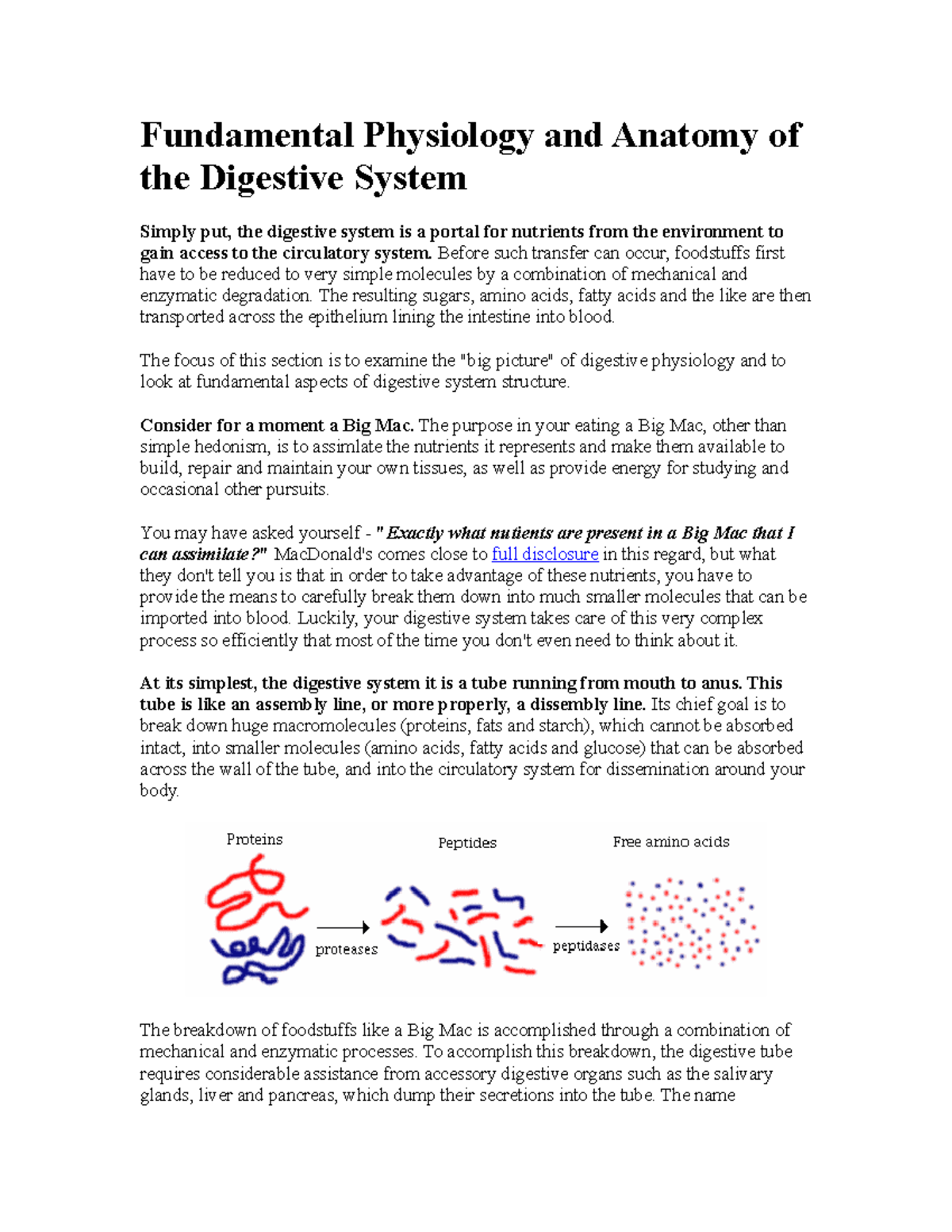 Physiology and Anatomy of the Digestive System - Fundamental Physiology ...