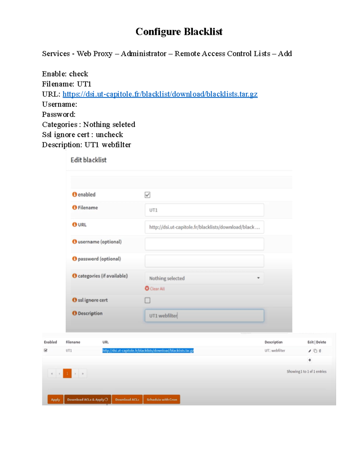 Configure Blacklist - Configure Blacklist Services - Web Proxy – Administrator – Remote Access ...