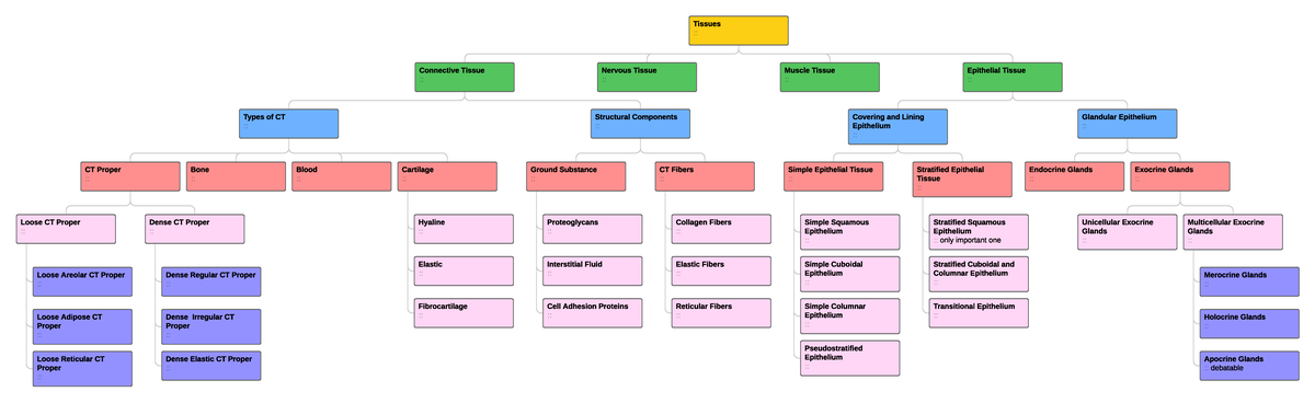 Tissues (complete) - Tissues :: Connective Tissue :: Types of CT :: CT ...