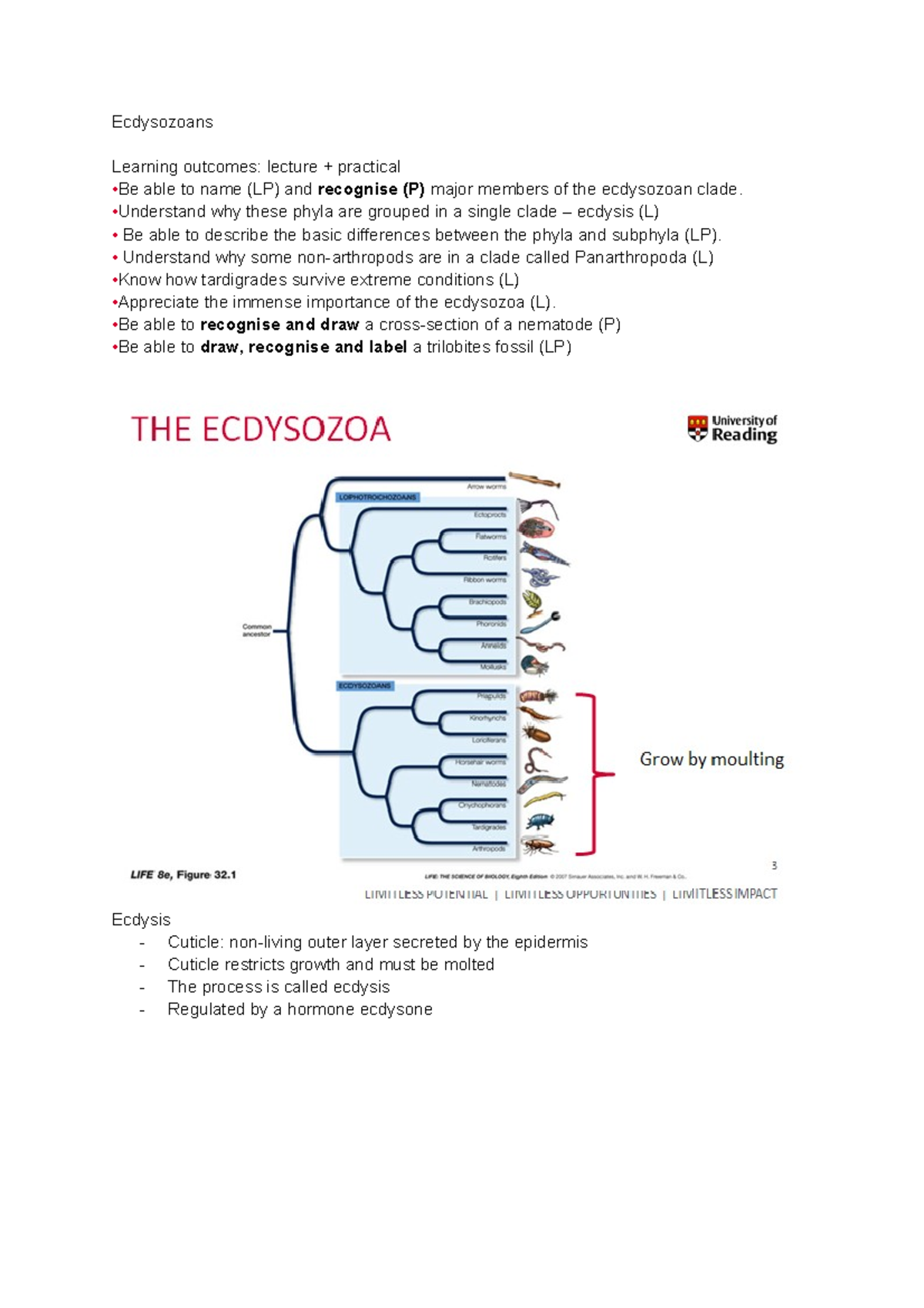 3. ecdysozoans - arthropods and worms - Ecdysozoans Learning outcomes ...