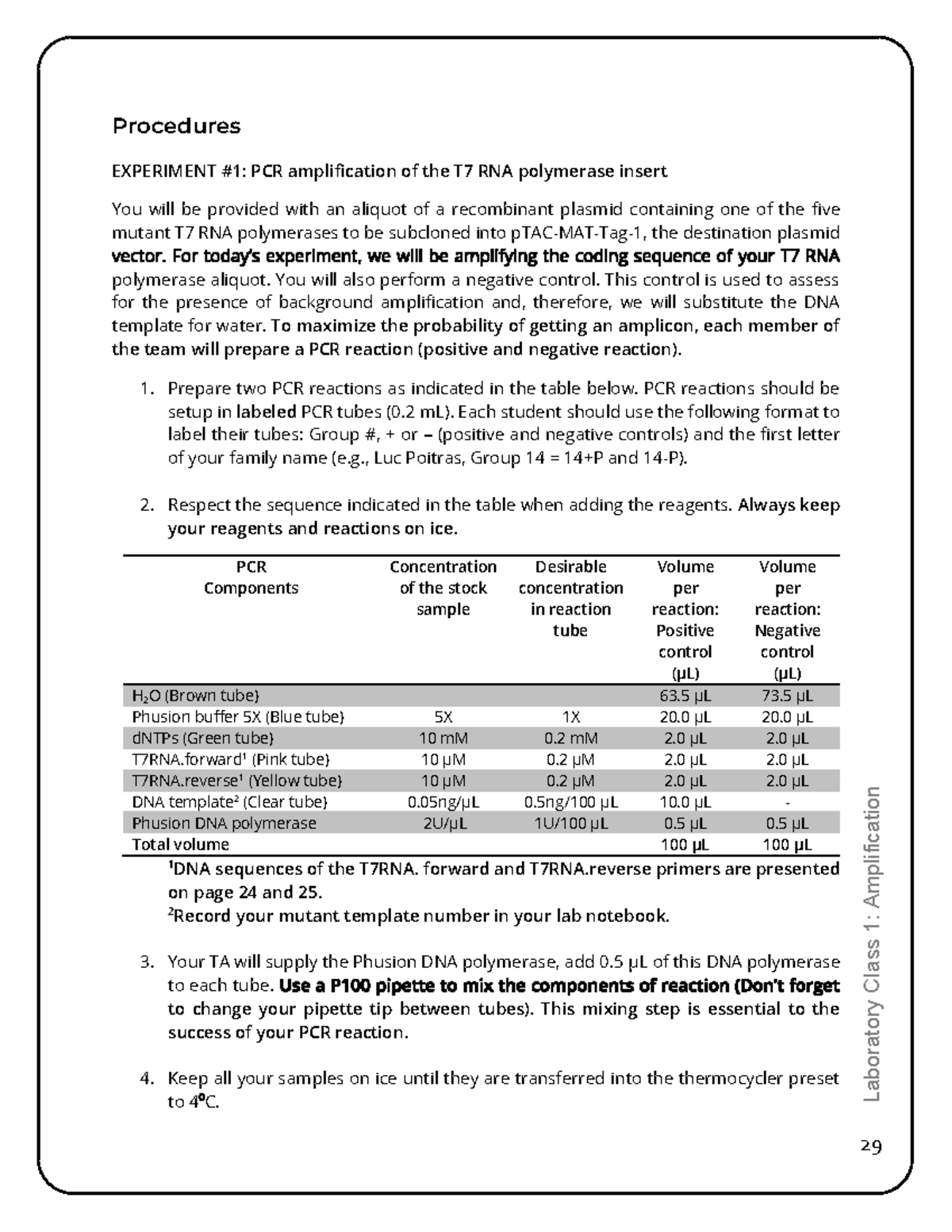 Lab1 Procedures - Laboratory Class 1: Amplification Procedures ...