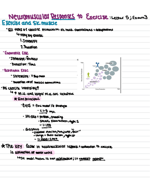 [Solved] Muscle damage corresponds to a mechanism of fatigue a ...