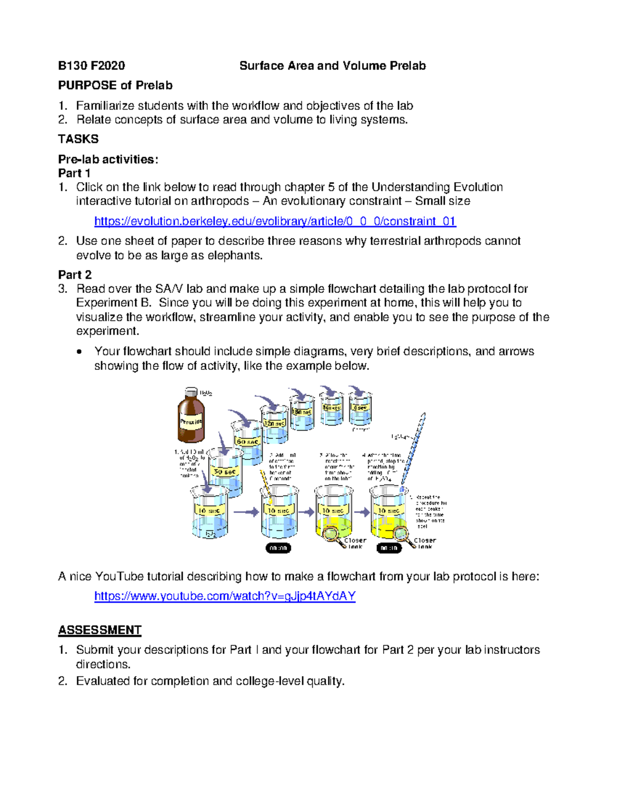Lab-Surface Area-Pre Lab-Student-Online-2022-Winter - B130 F2020 ...