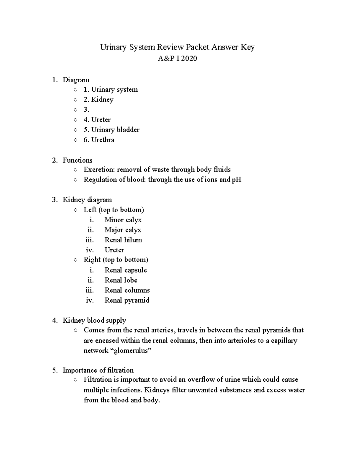 Key RP 11 - Urinary System Review Packet - Urinary System Review Packet ...