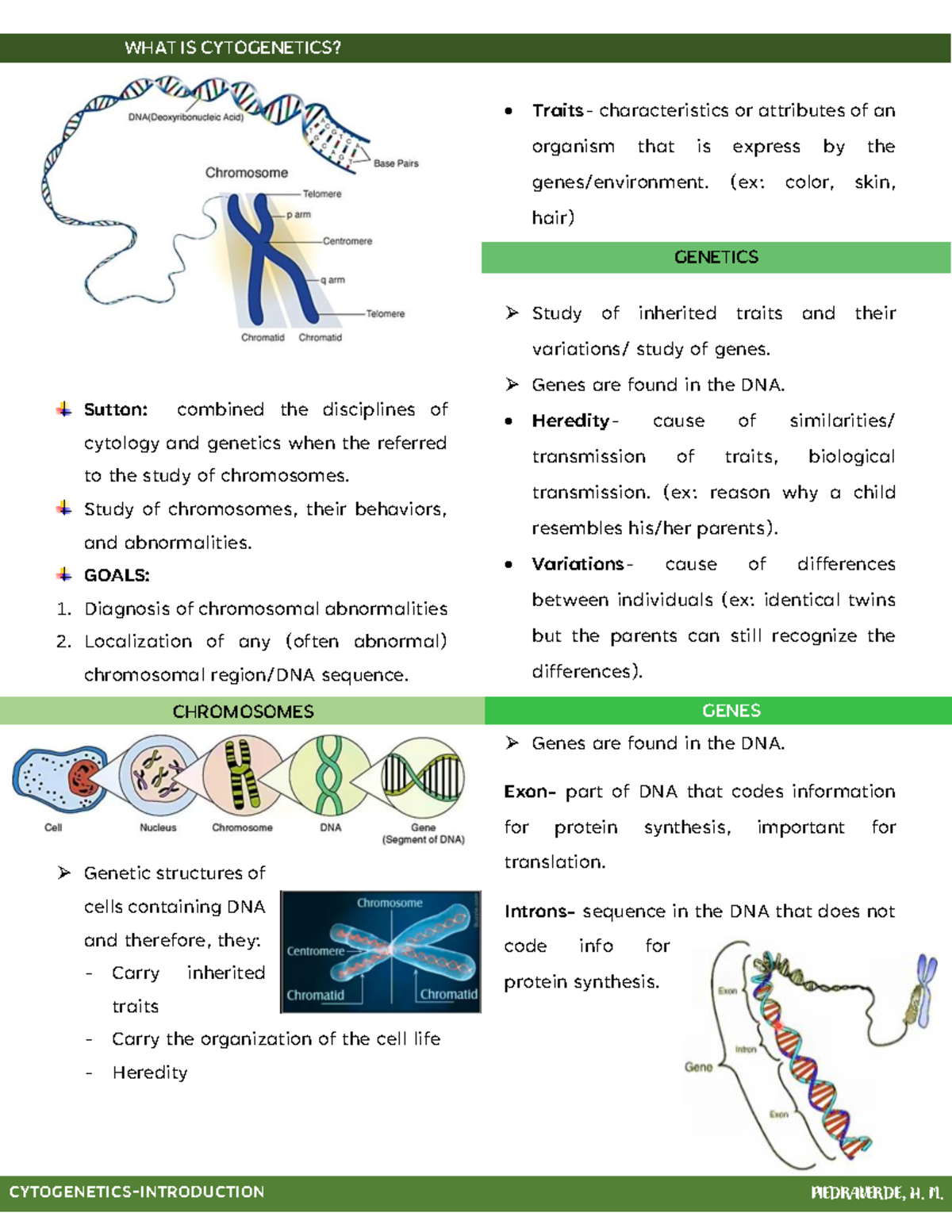 Introduction TO Cytogenetics - CYTOGENETICS-INTRODUCTION PIEDRAVERDE, H ...