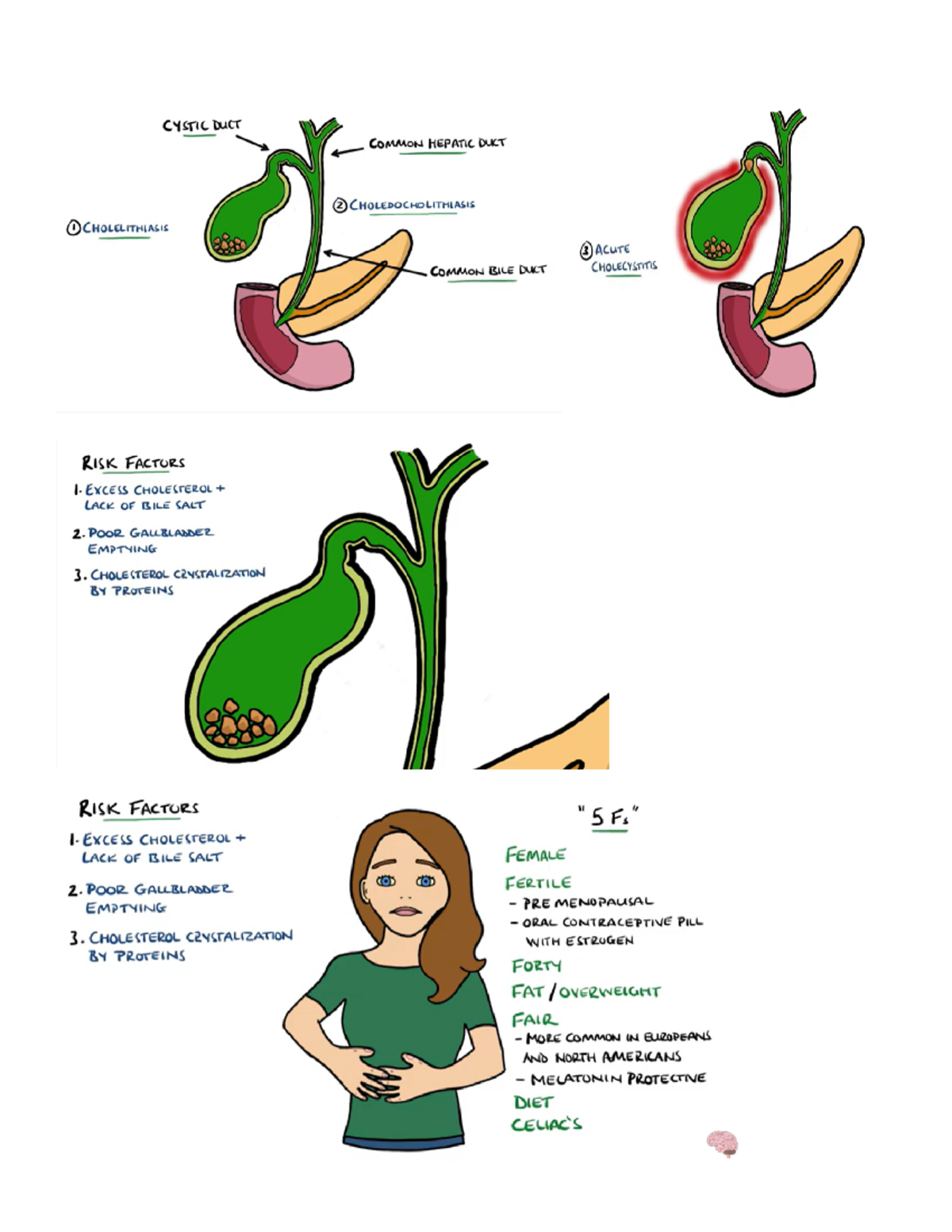 Gallbladder stuff - NUR1129 - Studocu