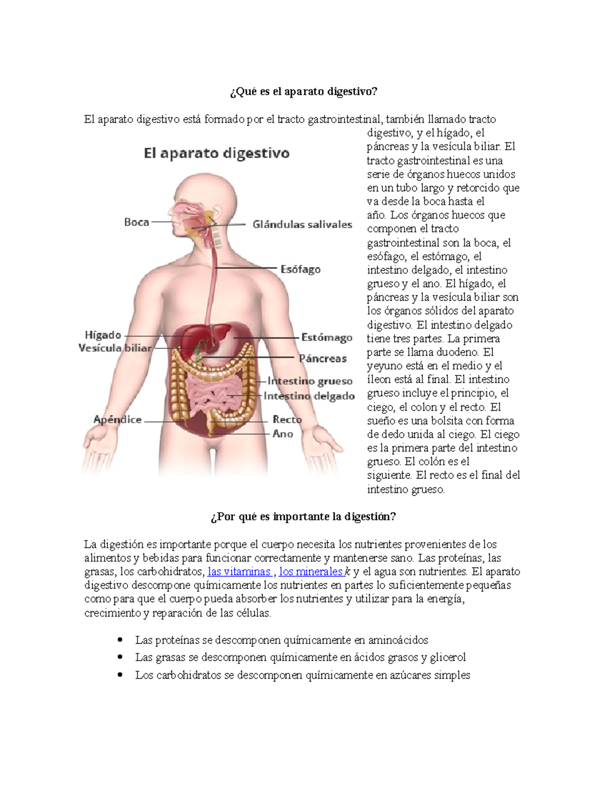 Qué es el aparato digestivo - ¿Qué es el aparato digestivo? El aparato ...