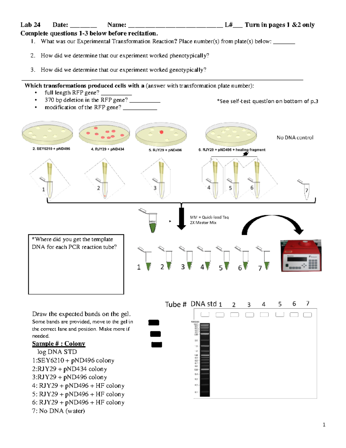 Lab24 Crispr Design Recitation handout s22 - Lab 24 Date: ________ Name ...