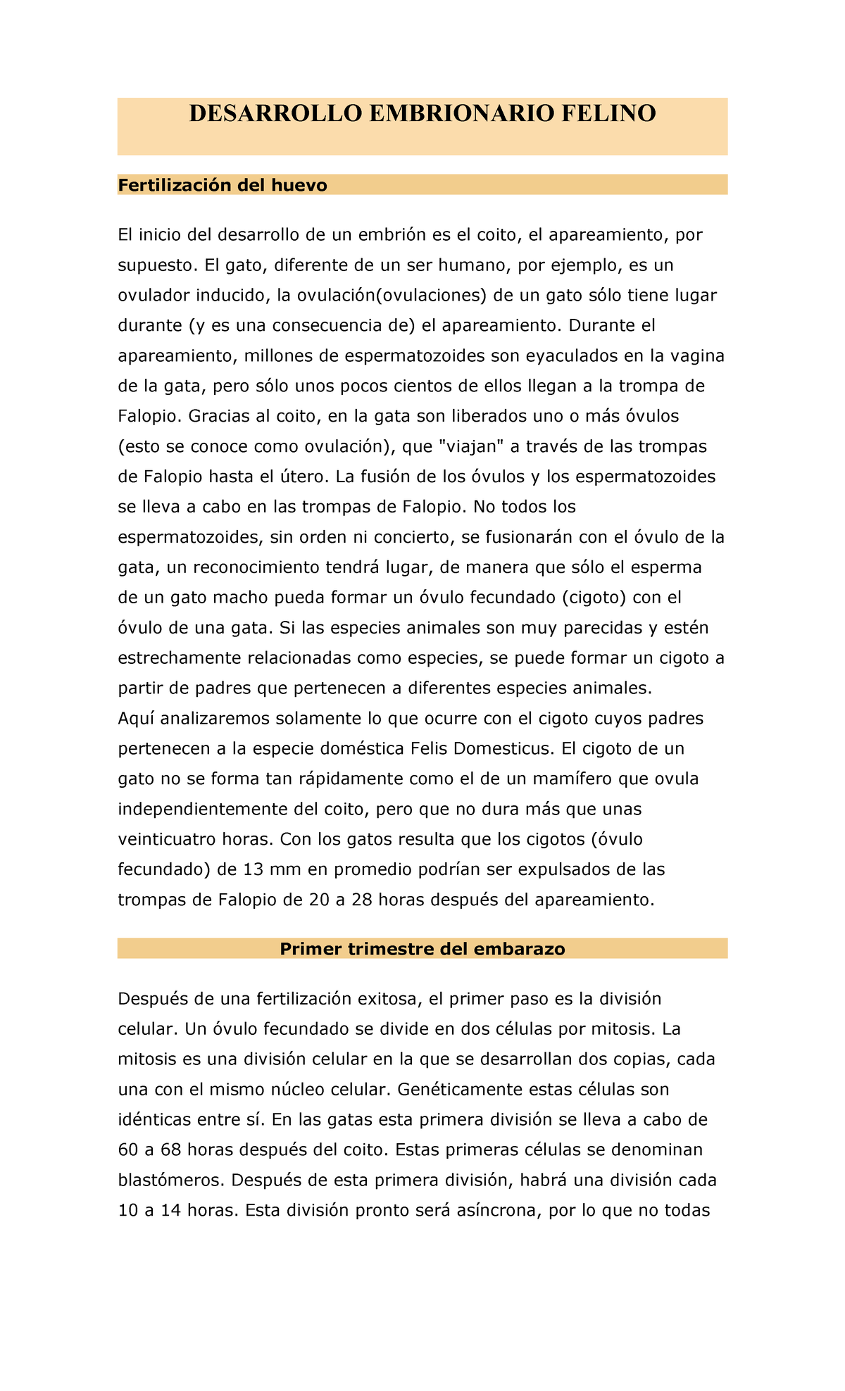 Desarrollo Embrionario Felino - DESARROLLO EMBRIONARIO FELINO ...