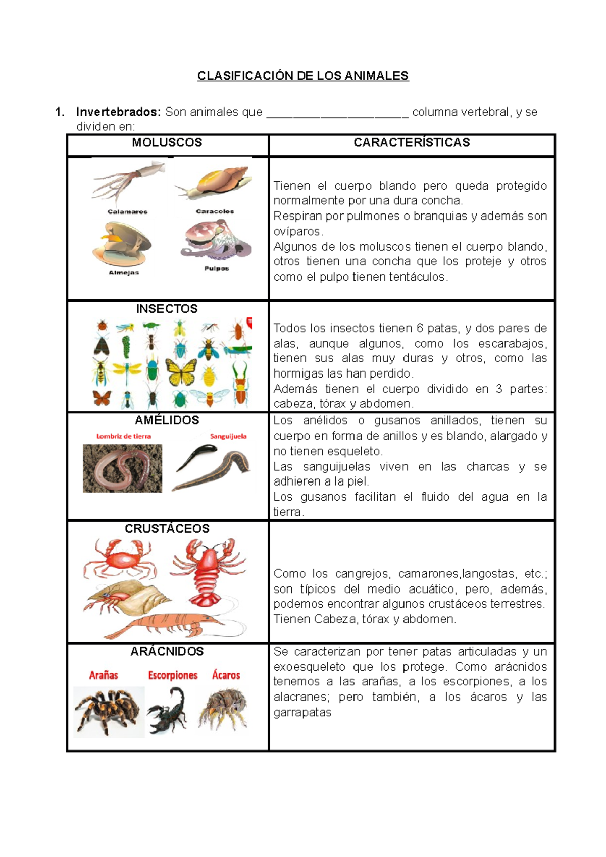 1.- Ficha clasificacion de los animales completa - CLASIFICACIÓN DE LOS ...