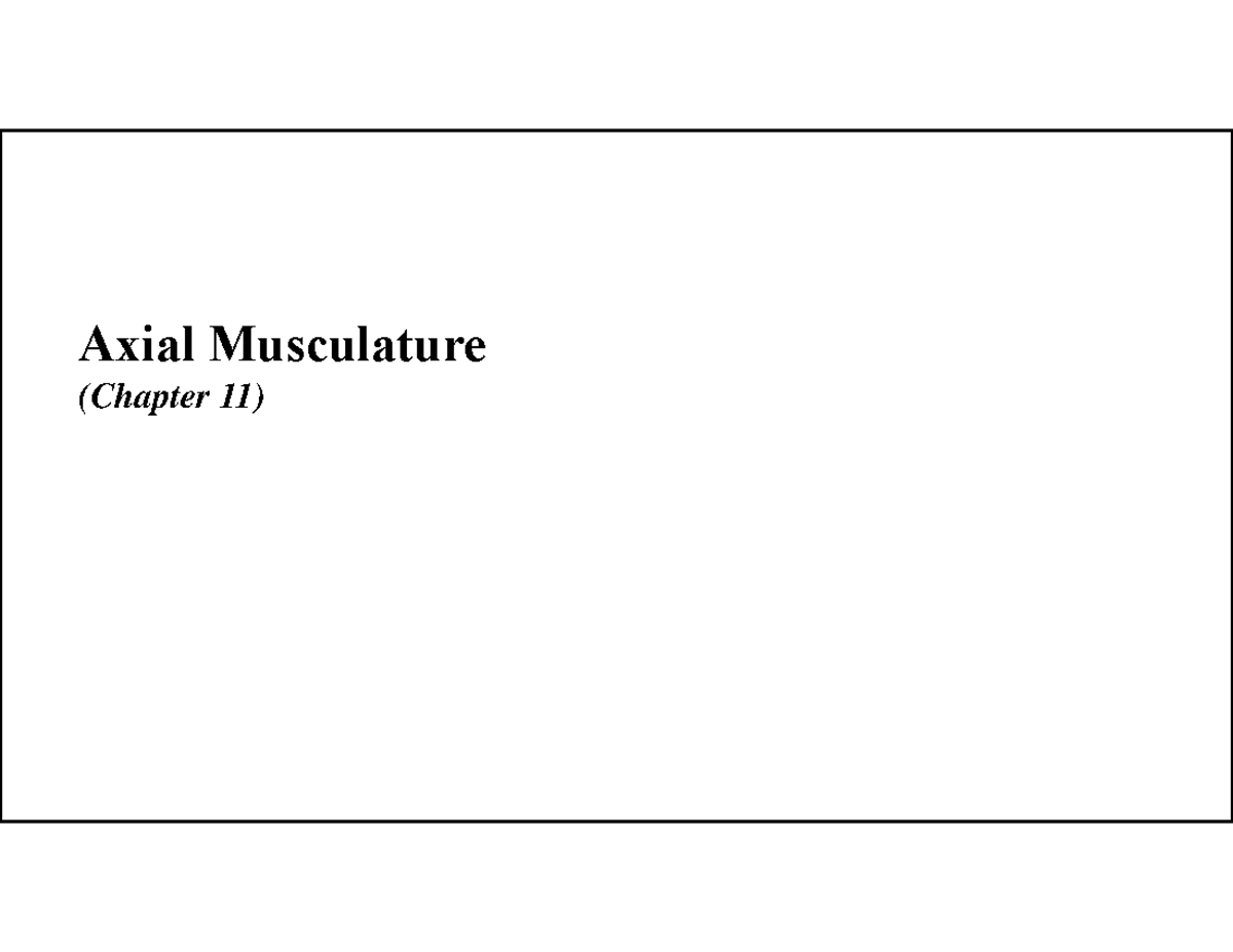 08 Axial Musculature - Lecture Slides from KNES 2600: Functional Human ...