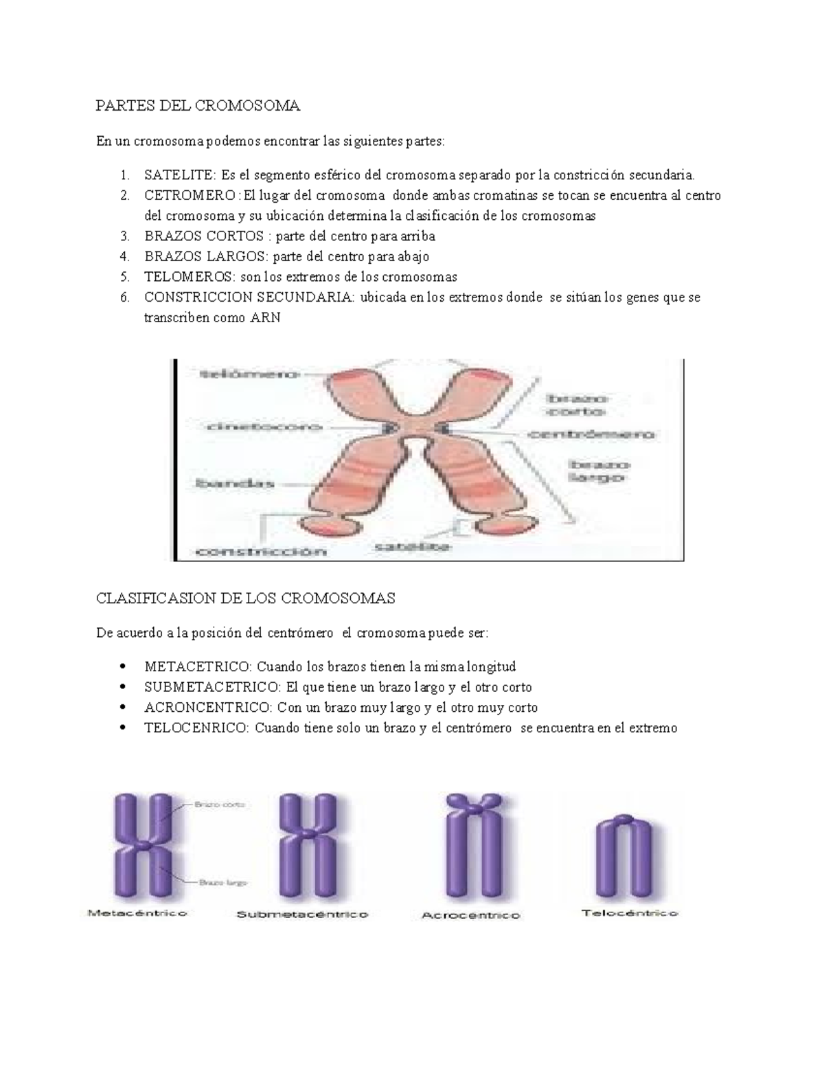 Partes DEL Cromosoma - un resumen del crosoma - PARTES DEL CROMOSOMA En ...