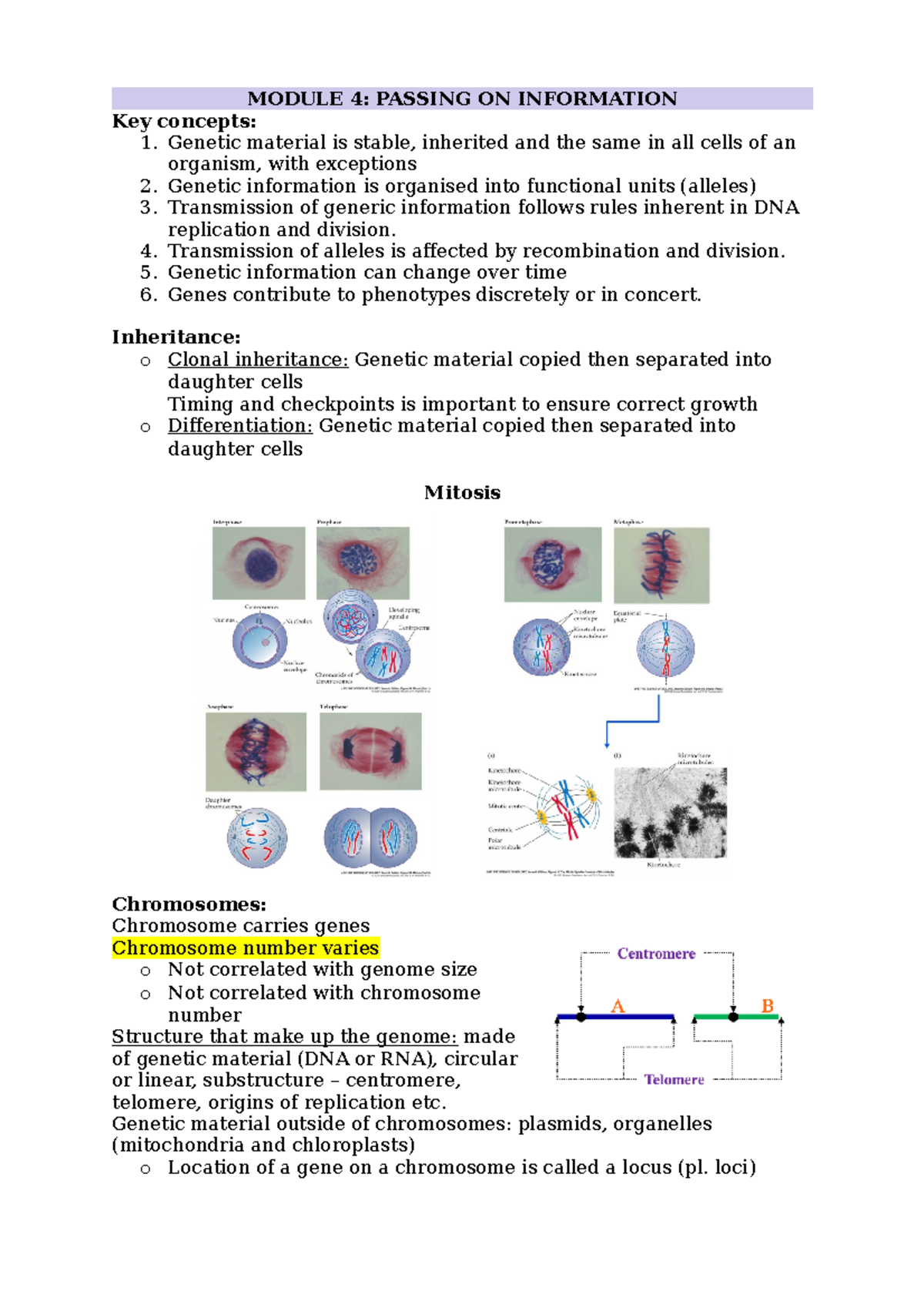 Module 4 BIO Notes 2020 - MODULE 4: PASSING ON INFORMATION Key concepts ...