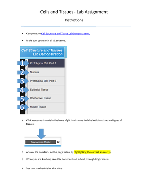 Parts of a Cell Lab Assignment - Parts of a Cell - Lab Assignment ...