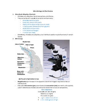 Microbiology lab report - An experiment using the aseptic technique to ...