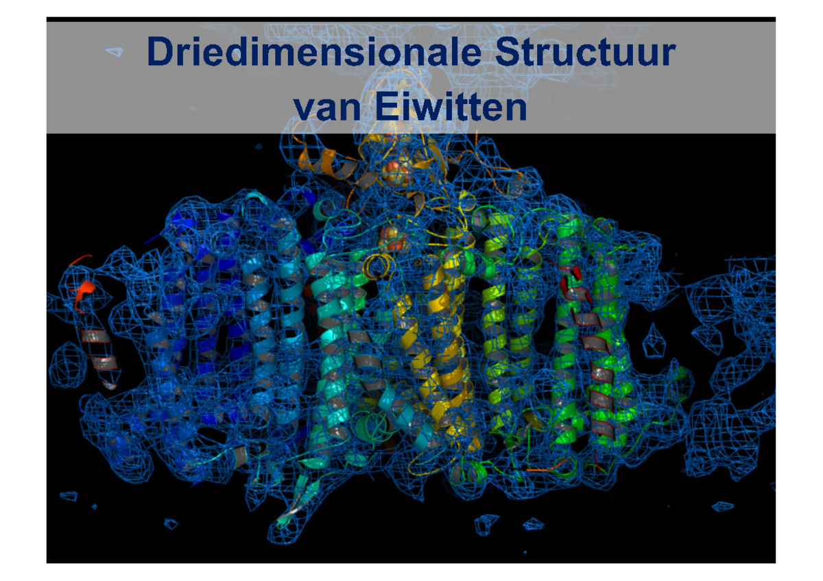 4 - 3Dimensionale structuur van eiwitten - Driedimensionale Structuur ...