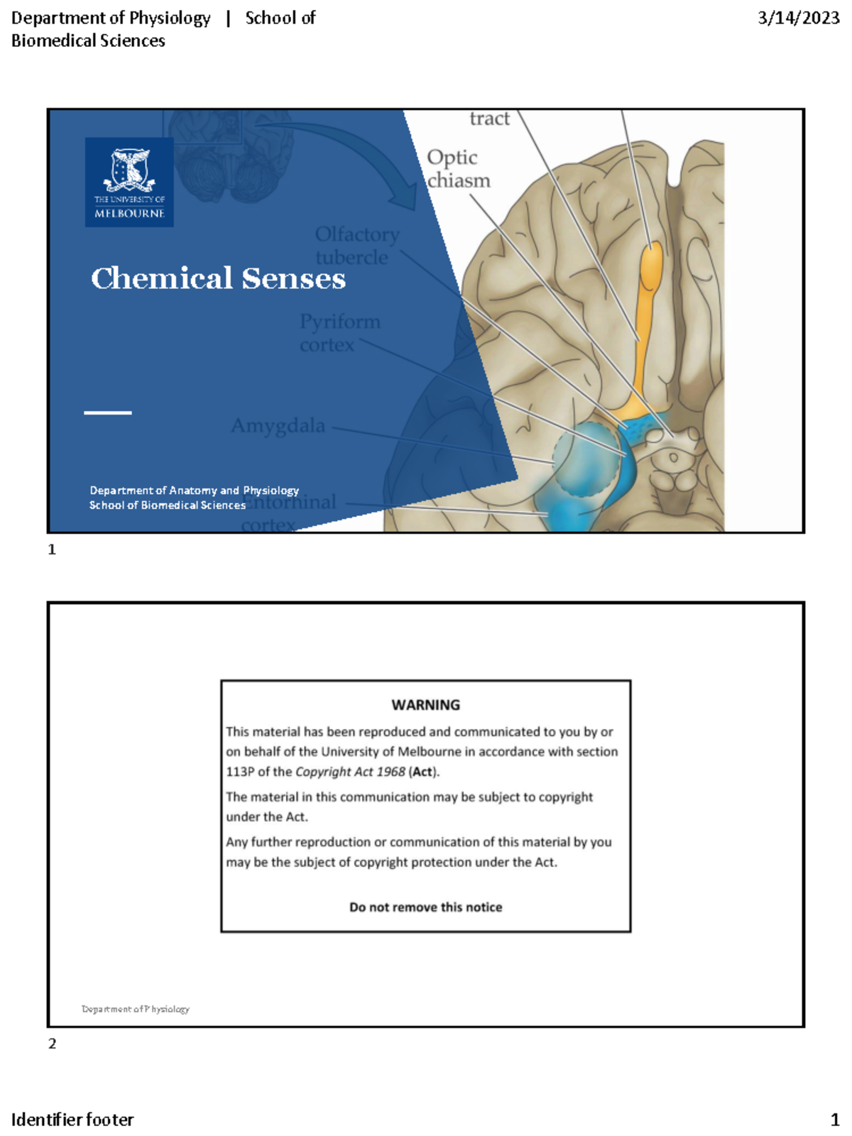 Chemical Senses - sacs - Biomedical Sciences Department of Anatomy and ...