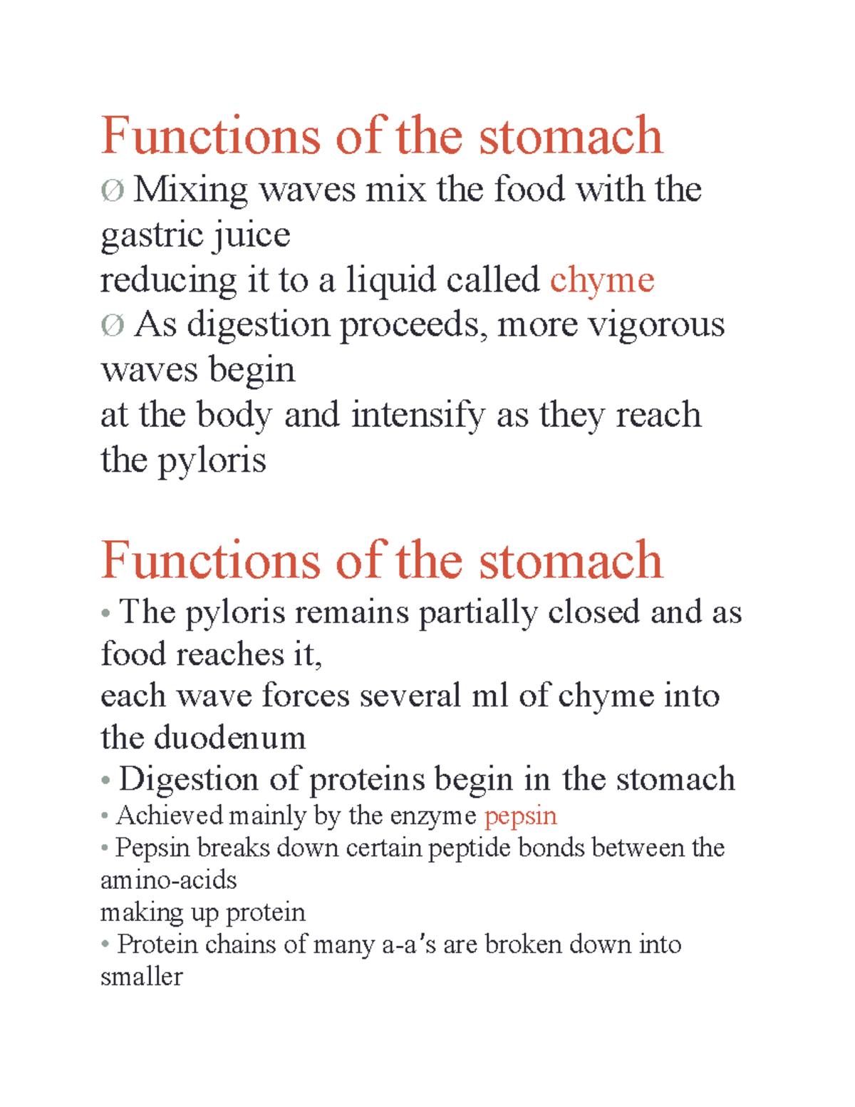 Functions of the stomach - Studocu