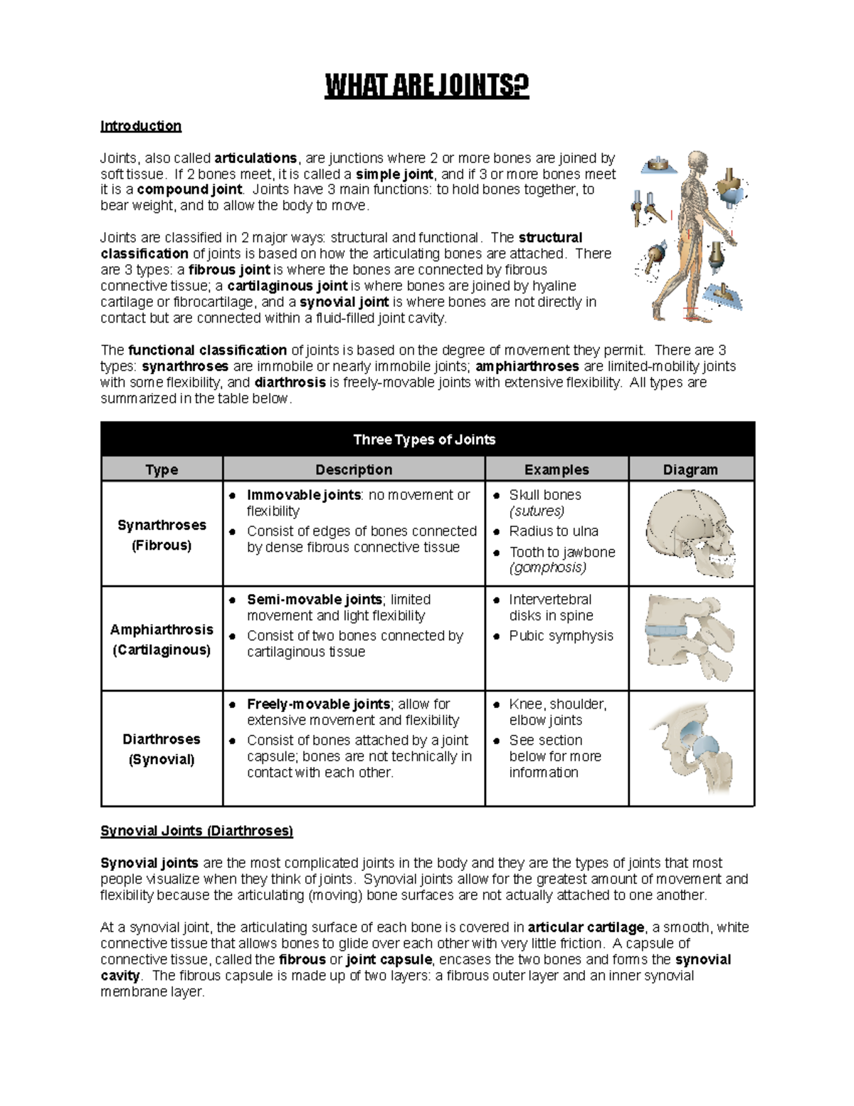 WS - What are Joints WORD - WHAT ARE JOINTS? Introduction Joints, also ...