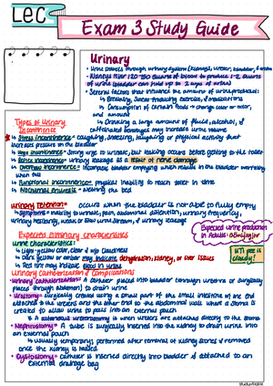 ICS 1 Final Study Guide Dec32022 - Fall 2022 Topics Study Guide ...