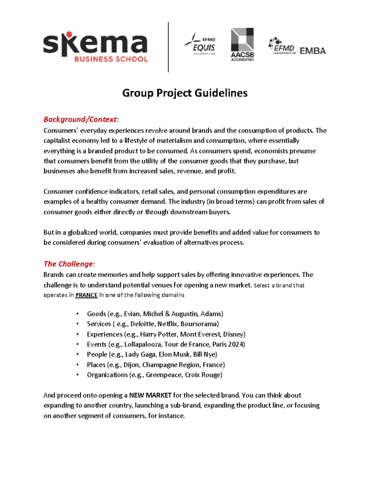 Group Project Guidelines marketing - Group Project Guidelines ...